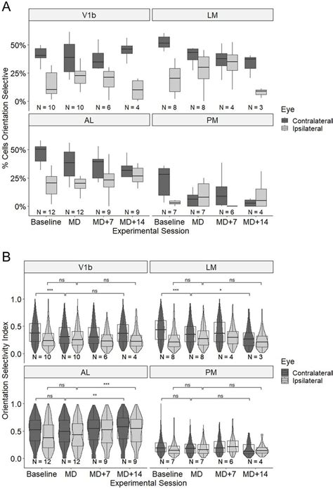Effects Of Md And Binocular Recovery On Orientation Selectivity Of Download Scientific Diagram