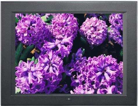 Professional And Versatile 15″ Led Monitor Enquire Today