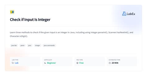 Check If Input Is Integer In Java Labex