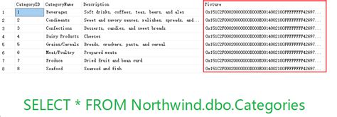 Databaselink How To Extract Bitmap Image From Sql Records