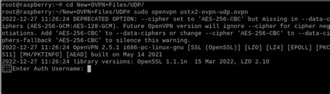 Openvpn Command Line Interface Cli Set Up Guide For Raspberry Pi Debian Puresquare