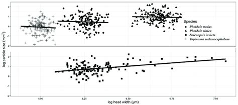 Correlation Between Head Width And The Particle Size For Solenopsis Download Scientific Diagram