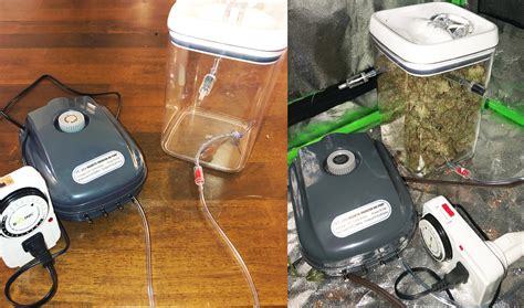 Automated Curing System Rmicrogrowery