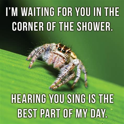 Misunderstood Spider Meme Shower