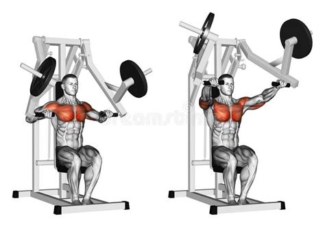 Hammer Bench Press Machine Gerald Vogel