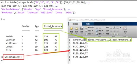 【matlab学习】表格写入之table和writetablematlab 写入table Csdn博客