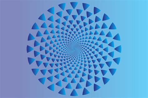 Premium Vector Spiral Flower Using The Distort And Transform Effect