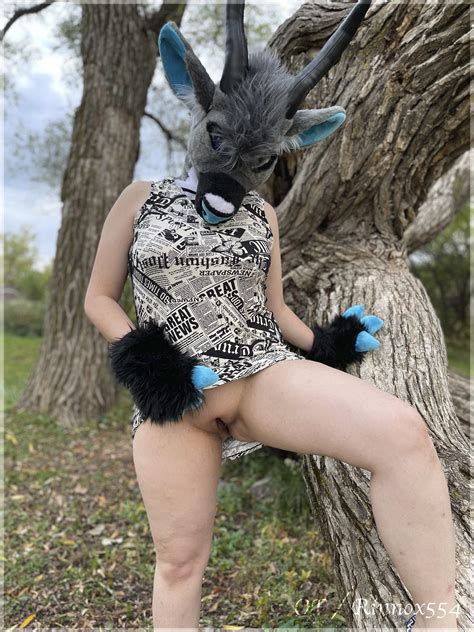 Best R Fursuitsex Images On Pholder I Wanna Do Something Fun This Weekend Any Takers