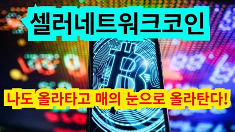 셀러네트워크코인전망셀러네트워크코인분석셀러네트워크코인정보 셀러네트워크 코인 나도 올라타고 매의 눈으로 올라탄다 Youtube