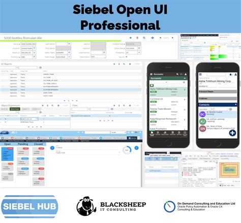 Siebel Crm Training The Siebel Hub