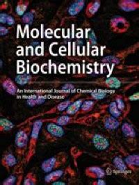 Low Glucose Dependent Decrease Of Apoptosis And Induction Of Autophagy
