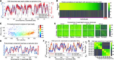 Figure 1 From Genetic Variation In Human Dna Replication Timing Semantic Scholar