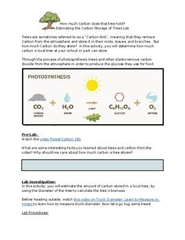 Carbon Storage Tree Lab Measure The Amount Of Carbon Stored In Your Trees