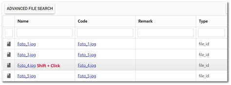 Using Dt File Images In The Html Widget