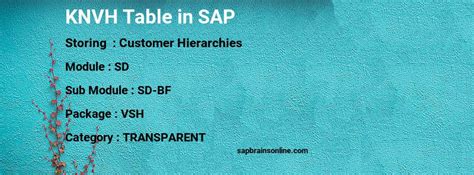 Knvh Sap Table For Customer Hierarchies