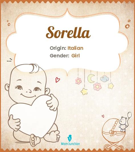Explore Sael Meaning Origin And Popularity