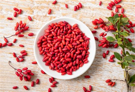 Berberina Zenyth Zenyth