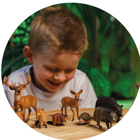 Konik Science — игровые наборы для обучения и развлечения Все лучшее детям