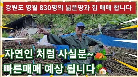강원도 영월 산골에 94세 화전민 어르신께서 자연인처럼 사실분 집과땅 830평 매매 합니다 Youtube