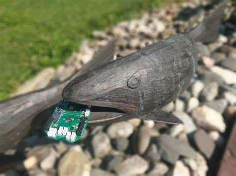 Learn Envirodiy With Us Envirodiy