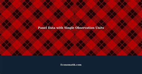 Understanding Panel Data With Single Observation Units
