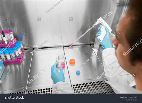 Scientist Looking Sample Into Micropipette Biology Stock Photo Shutterstock