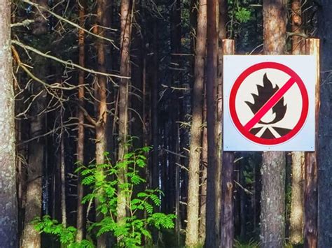 Ой хээрийн түймрээс сэргийлье