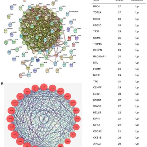 Ppi Network And The Most Significant Module Of Degs A Ppi Network Of