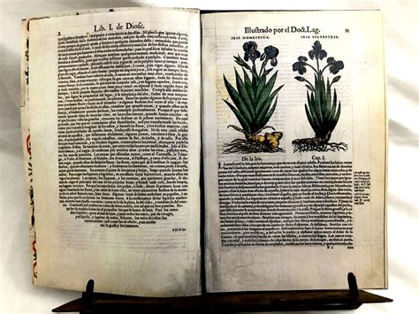 “de Materia Medica” By Dioscorides 1555 — A P Manuscripts