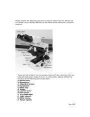 Exploring Microscopes A Comprehensive Guide To Understanding Course Hero