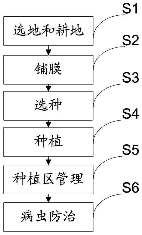 Bletilla Striata Planting Method Eureka Patsnap