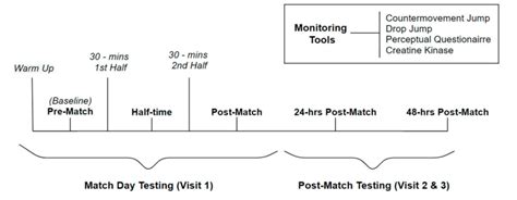 Experimental Study Design Download Scientific Diagram