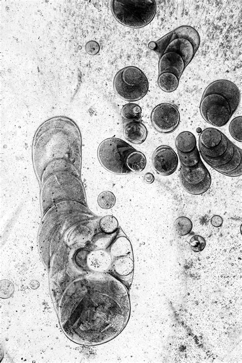 Singleton Bound By Aneurysmguy On Deviantart