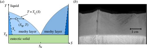 Figure 1 From Mushy Layer Growth And Convection With Application To Sea Ice Semantic Scholar