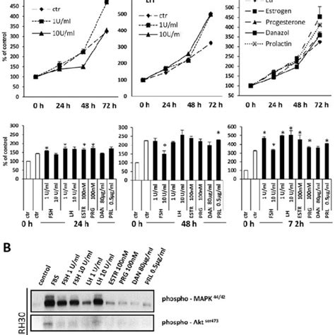 Sex Hormones Increase Proliferation And Induce Signal Transduction In Download Scientific