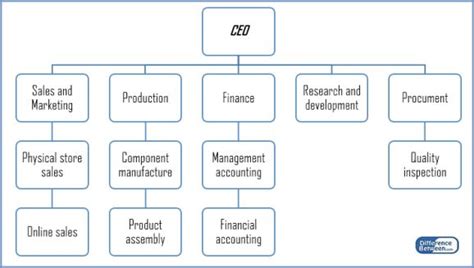 Difference Between Functional And Divisional Structure