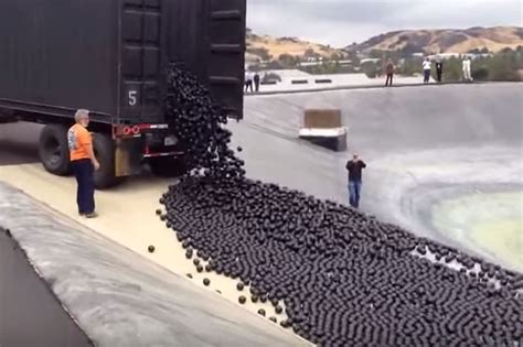 Tens Of Millions Of Plastic Balls Dropped Into Los Angeles Reservoir