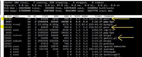 Executing Perl Scripts Without Actual File On A Cpanel Account