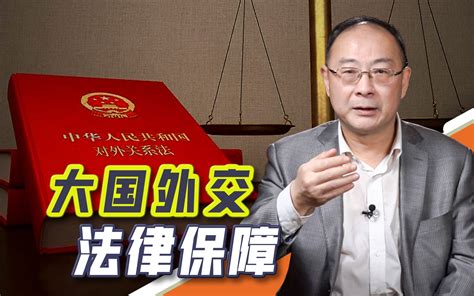 金灿荣对外关系法来了中国出手的依据更强了 金灿荣教授 金灿荣教授 哔哩哔哩视频