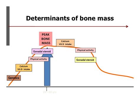 Osteoporosis