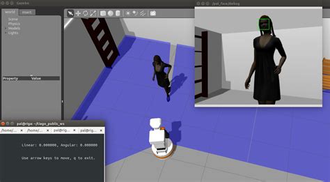 Robotstiagotutorialsfacedetection Ros Wiki