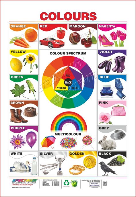 Buy Spectrum Educational Wall Chart Two In One Colours And Shapes Online At Desertcartkuwait