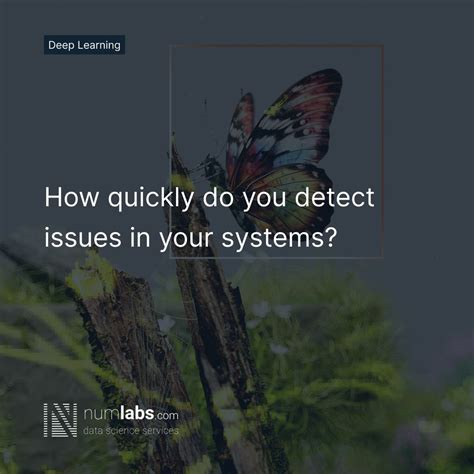 Numlabs Data Science Services On Linkedin Anomalydetection Ai Deeplearning Automation