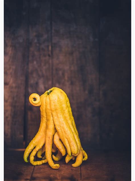 Making My Toes Curl Poster By Alanshapiro Redbubble