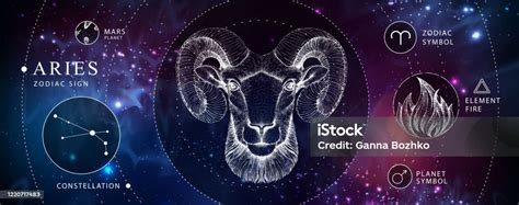 점성술 양자리 조디악 기호와 현대 마술 마술 카드 현실적인 손 그리기 램 또는 Mouflon 머리 조디악 특성 양자리에 대한 스톡 벡터 아트 및 기타 이미지 Istock