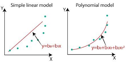 Understanding Polynomial Regression
