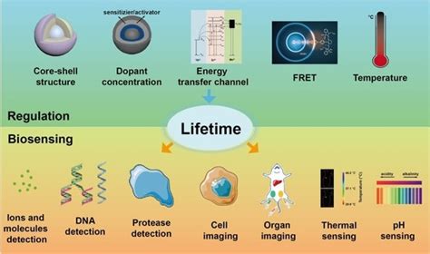Biosensors Free Full Text Luminescent Lifetime Regulation Of