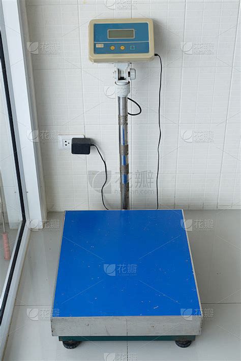 专业宠物医院的宠物体重秤设备