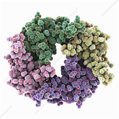 Sars Cov 2 Rna Binding Domain Illustration Stock Image C049 6916 Science Photo Library