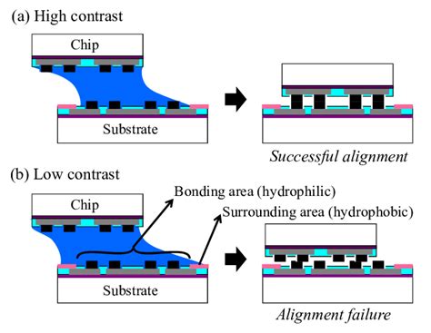 A Schematic Of Chip Self Assembly Phenomena When Wettability Contrast Download Scientific